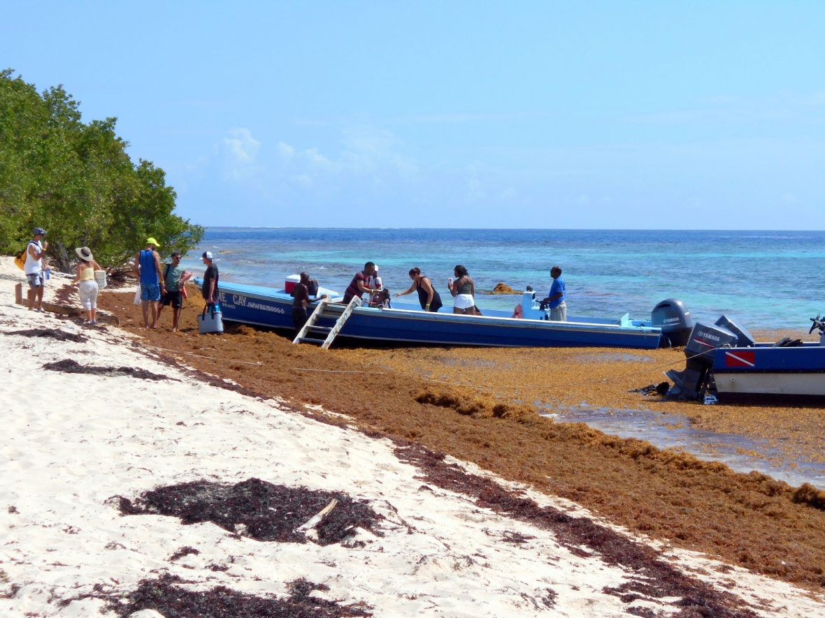 Lime Cay - Kingston - - Big Up Wi Beach Jamaica