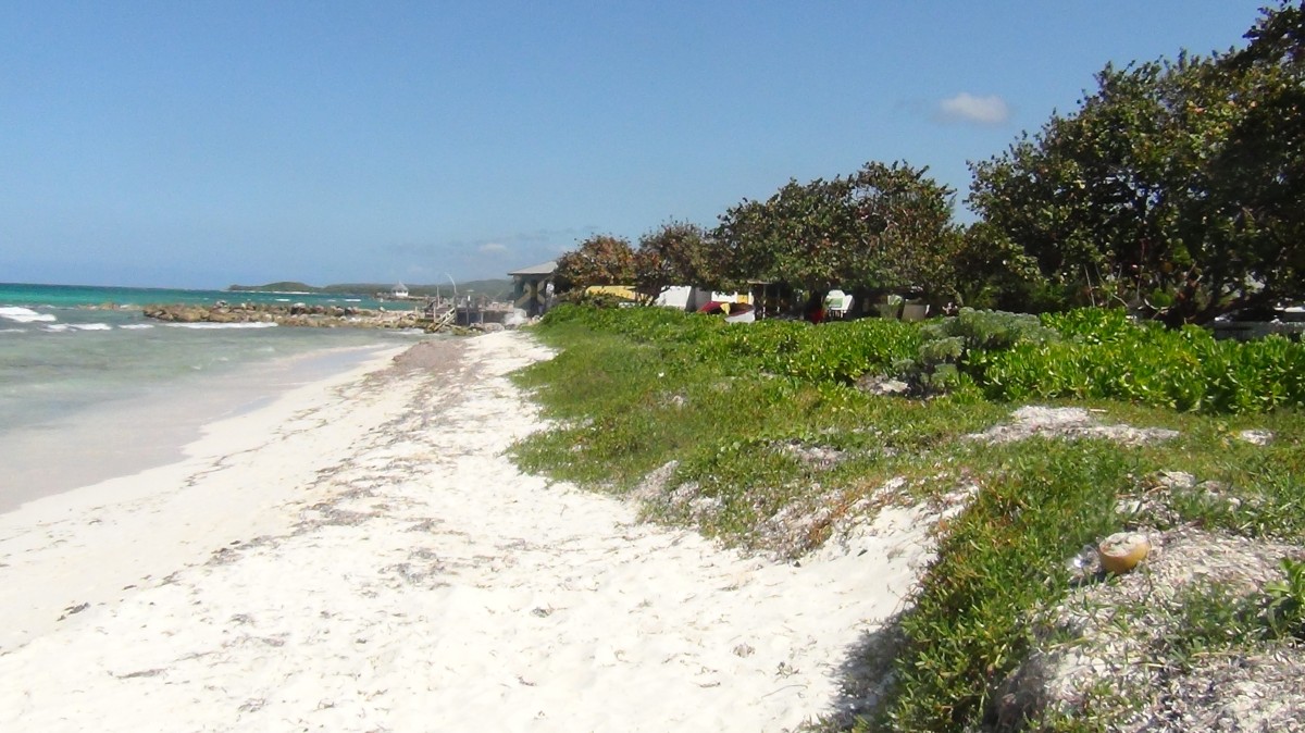 Beaches of Jamaica