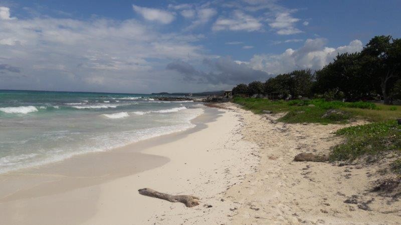 Beaches of Jamaica